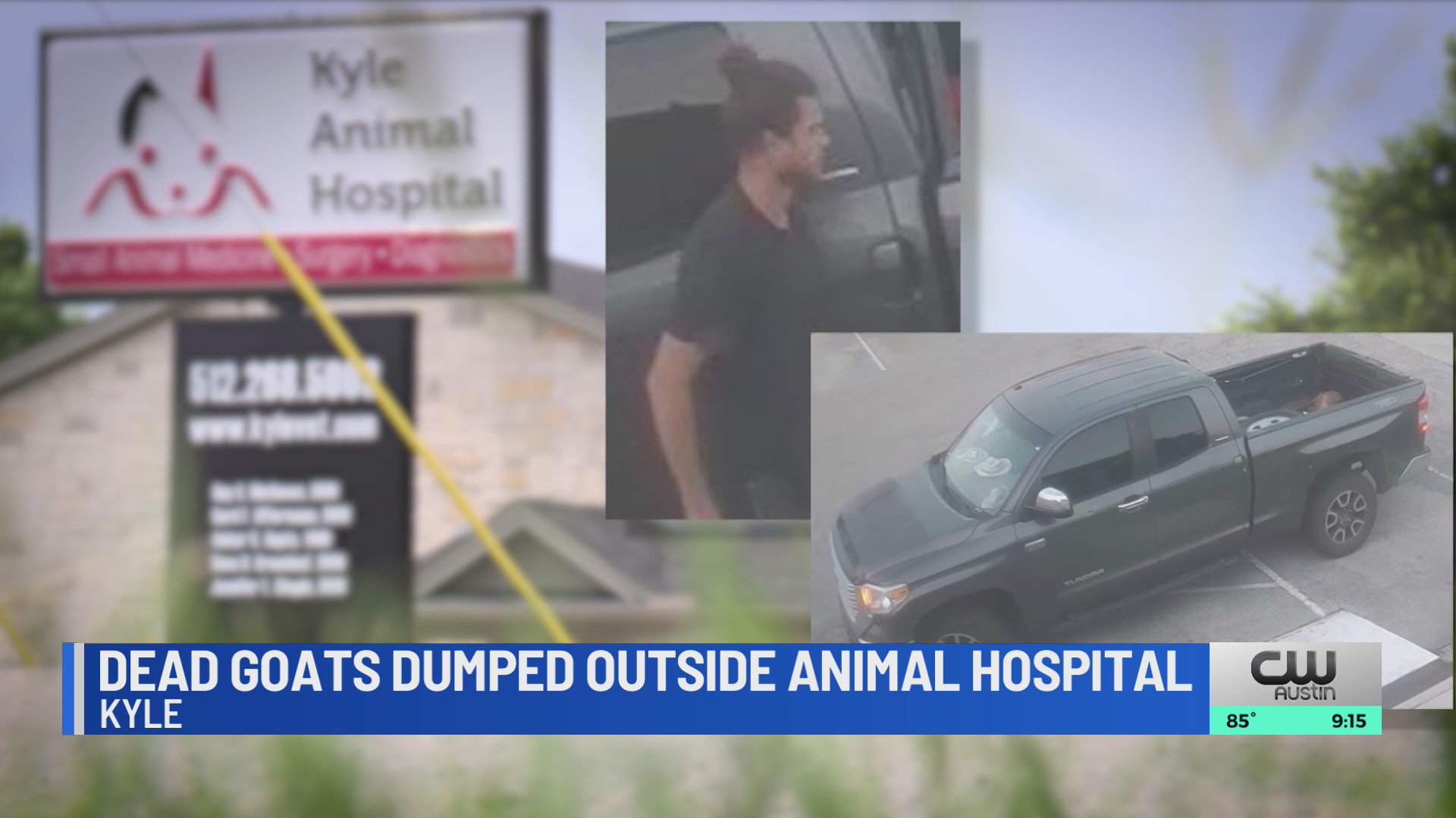Two dead goats dumped outside Kyle Animal Hospital