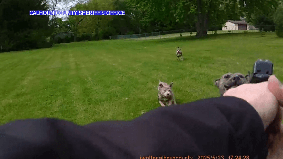 Sheriff releases bodycam video of deputy shooting charging dog in ...