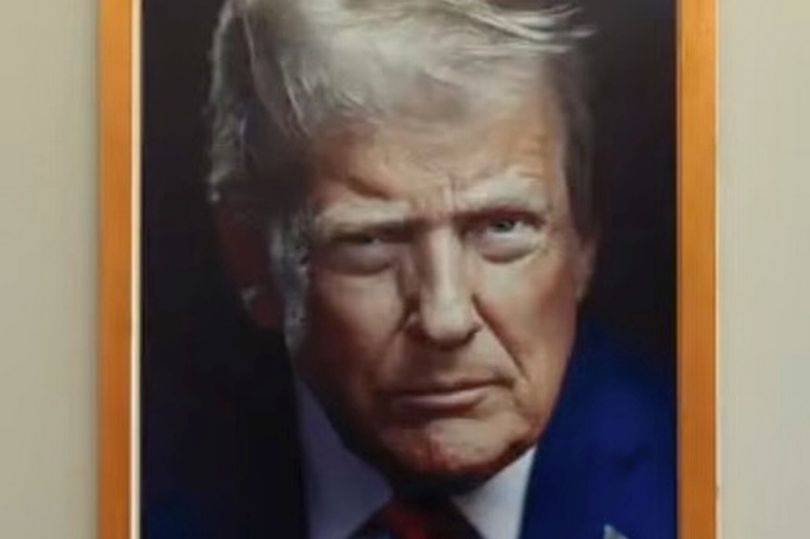 White House releases new official Trump portrait as viewers point out ...