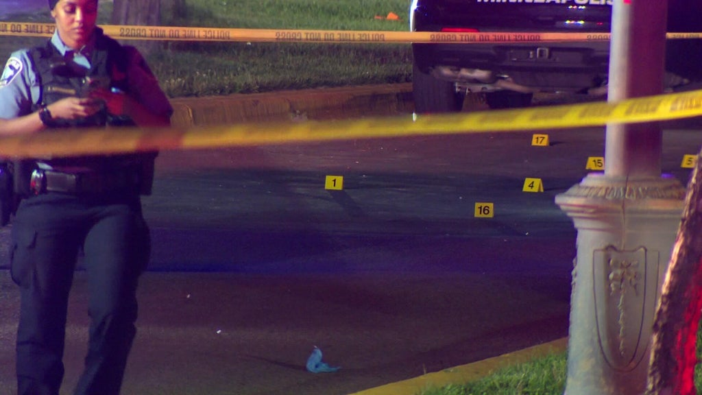 Witness recounts chaos during fatal Boom Island Park shooting in ...