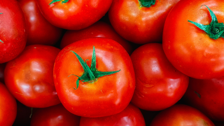 FDA Issues Severe Tomato Recall Warning in Southern US