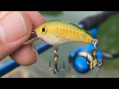 Catching 2 Fish on 1 Lure at Same Time!