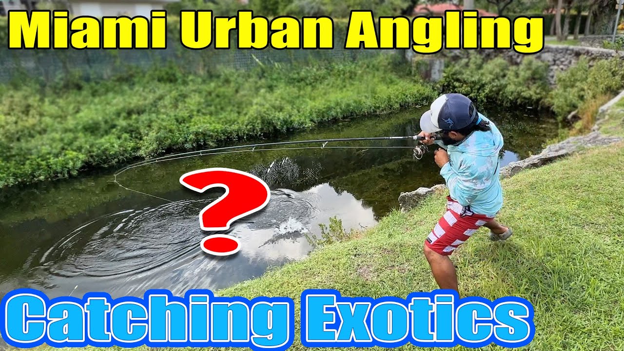 Catching Exotic Fish! Urban Angling!