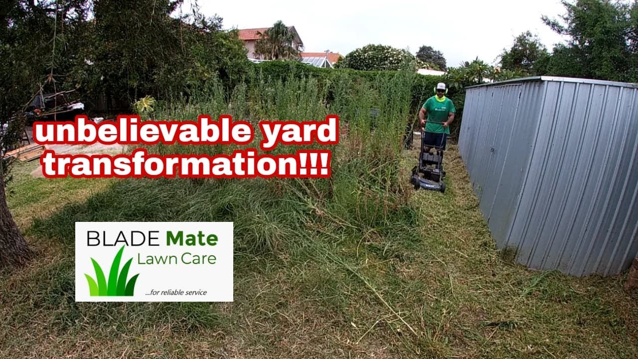 Tall Grass vs. Victa 550 - You Won’t Believe the Transformation