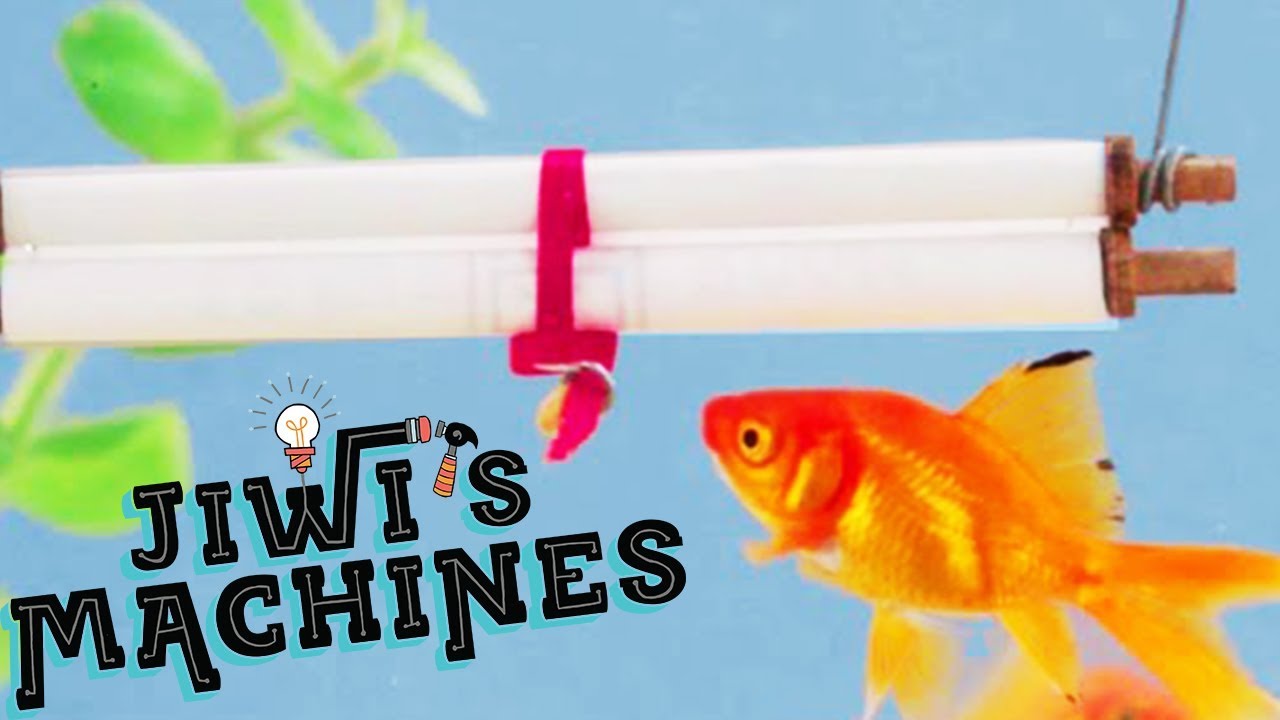 The Science Behind Flying Fish Flight