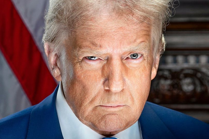 White House releases new official Trump portrait as viewers point out ...