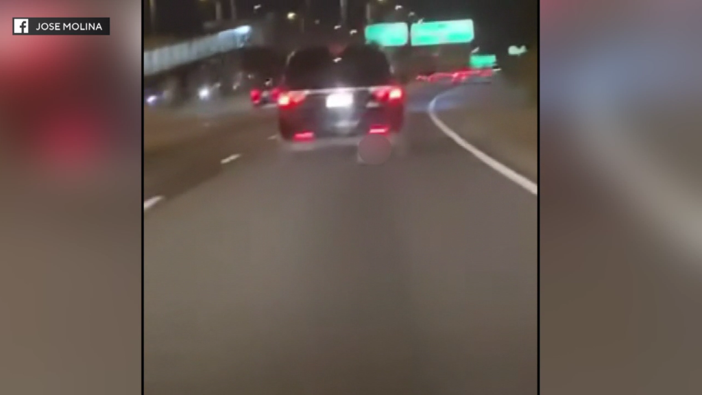 Alarming video shows dog being dragged from minivan on Chicago's ...