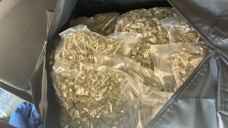 NT police bust alleged Vietnamese crime syndicate with 113kg of cannabis