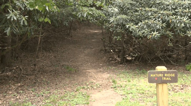 Going hiking? Here’s a refresher on some of the best safety tips