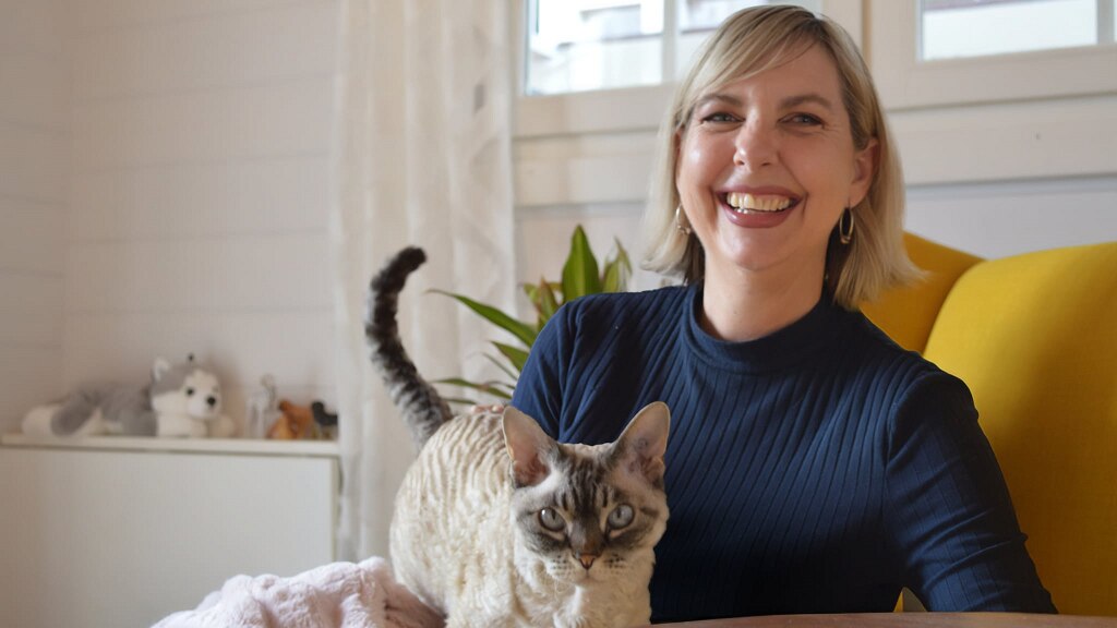 How 'therapy cats' can reduce stress and teach emotional regulation