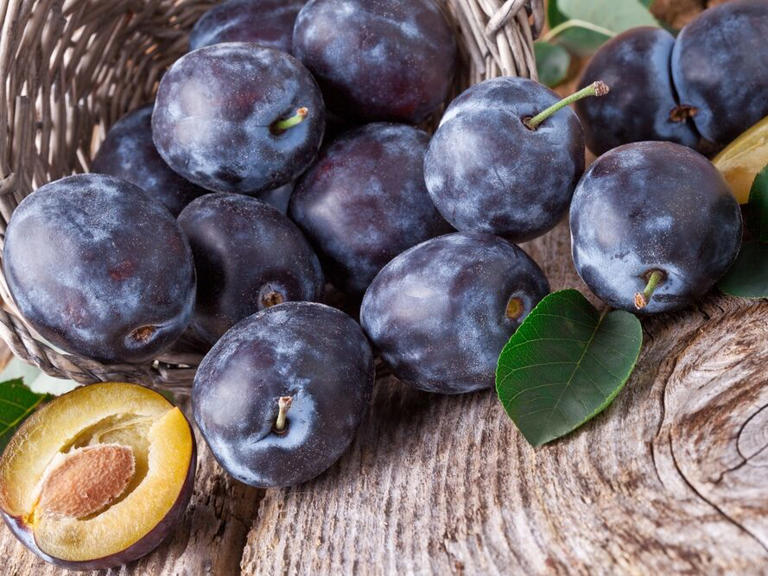 Prunes : Découvrez ce délicieux fruit aux nombreux bienfaits qui sont ...