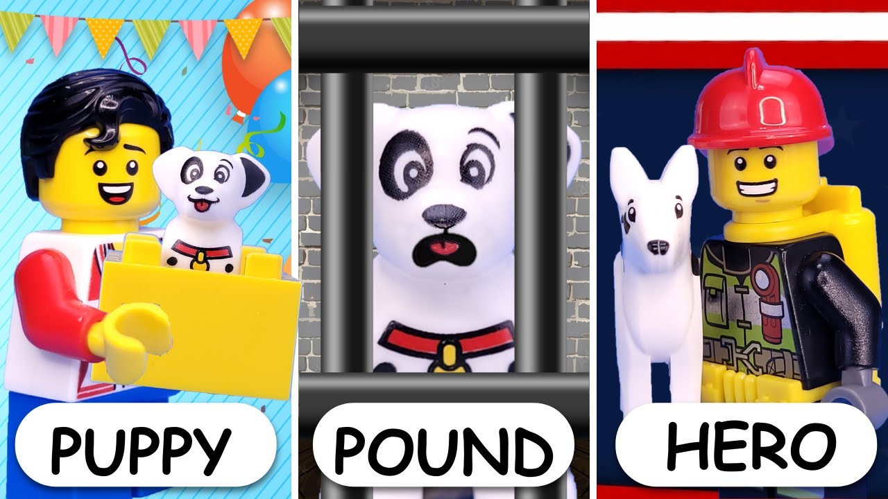LEGO creations: a dog's journey