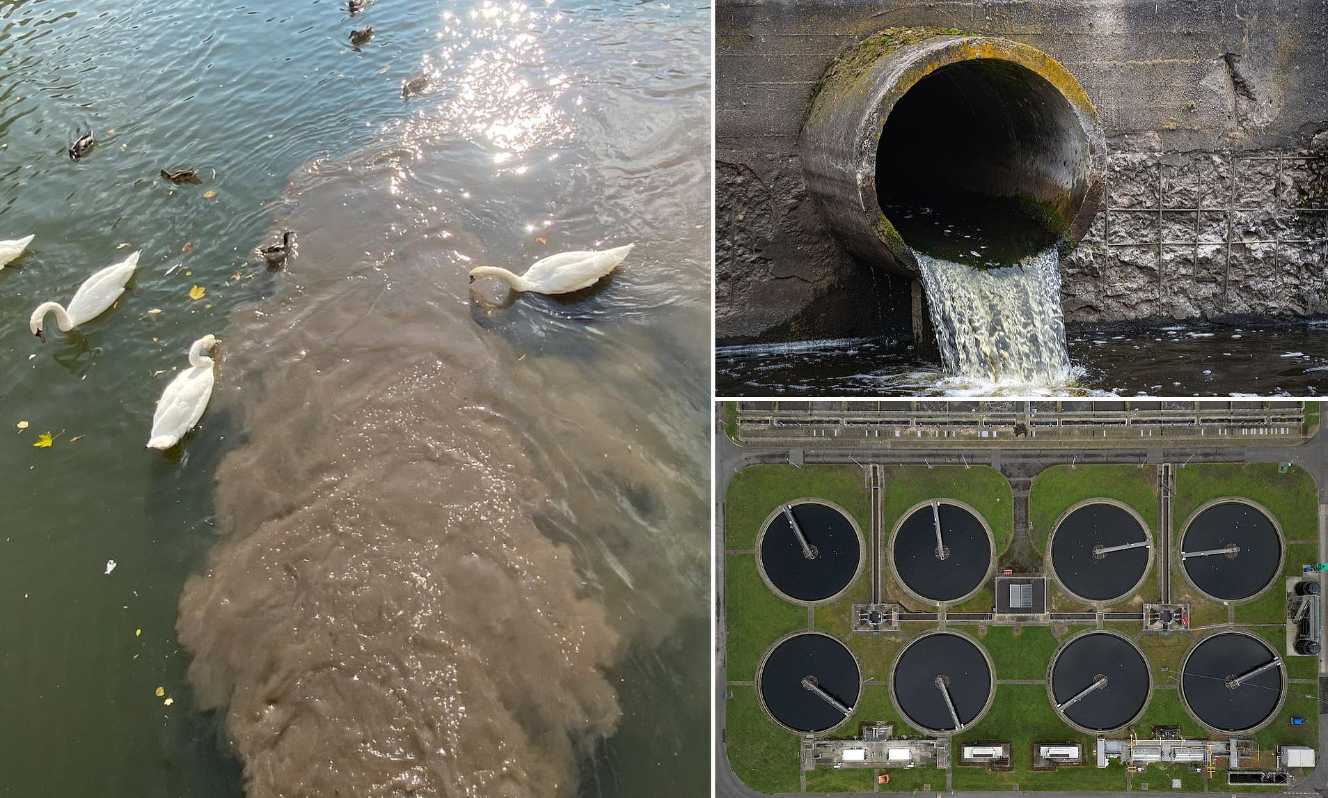 Water sector is failing and needs much stronger regulations ...