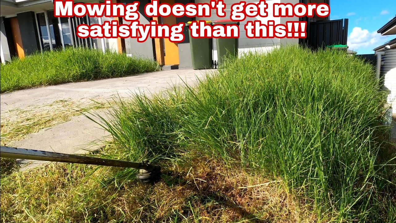 One Lawn Job Turned Into Two - And It’s So Satisfying