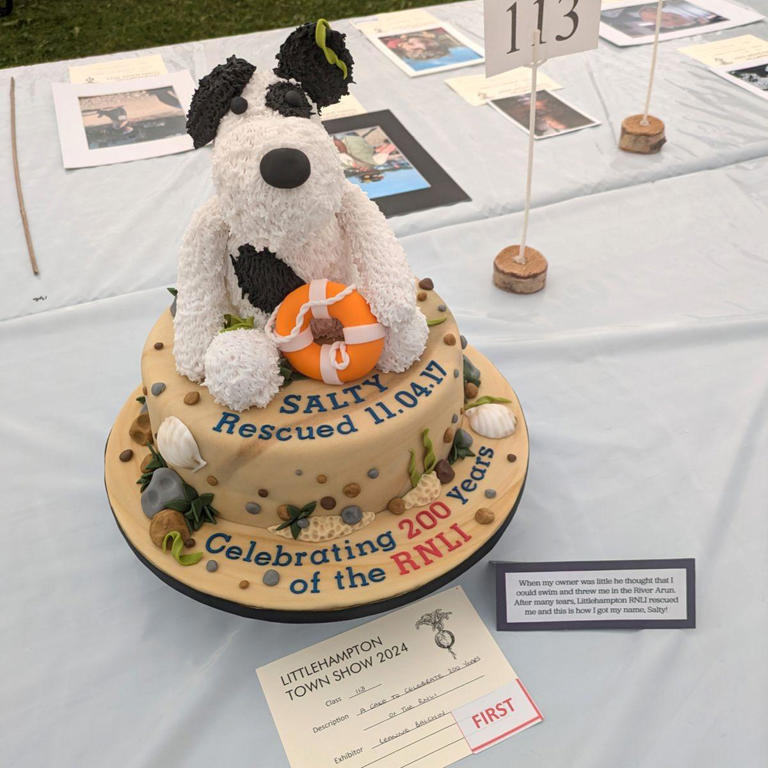 Launch of Littlehampton Town Show schedule