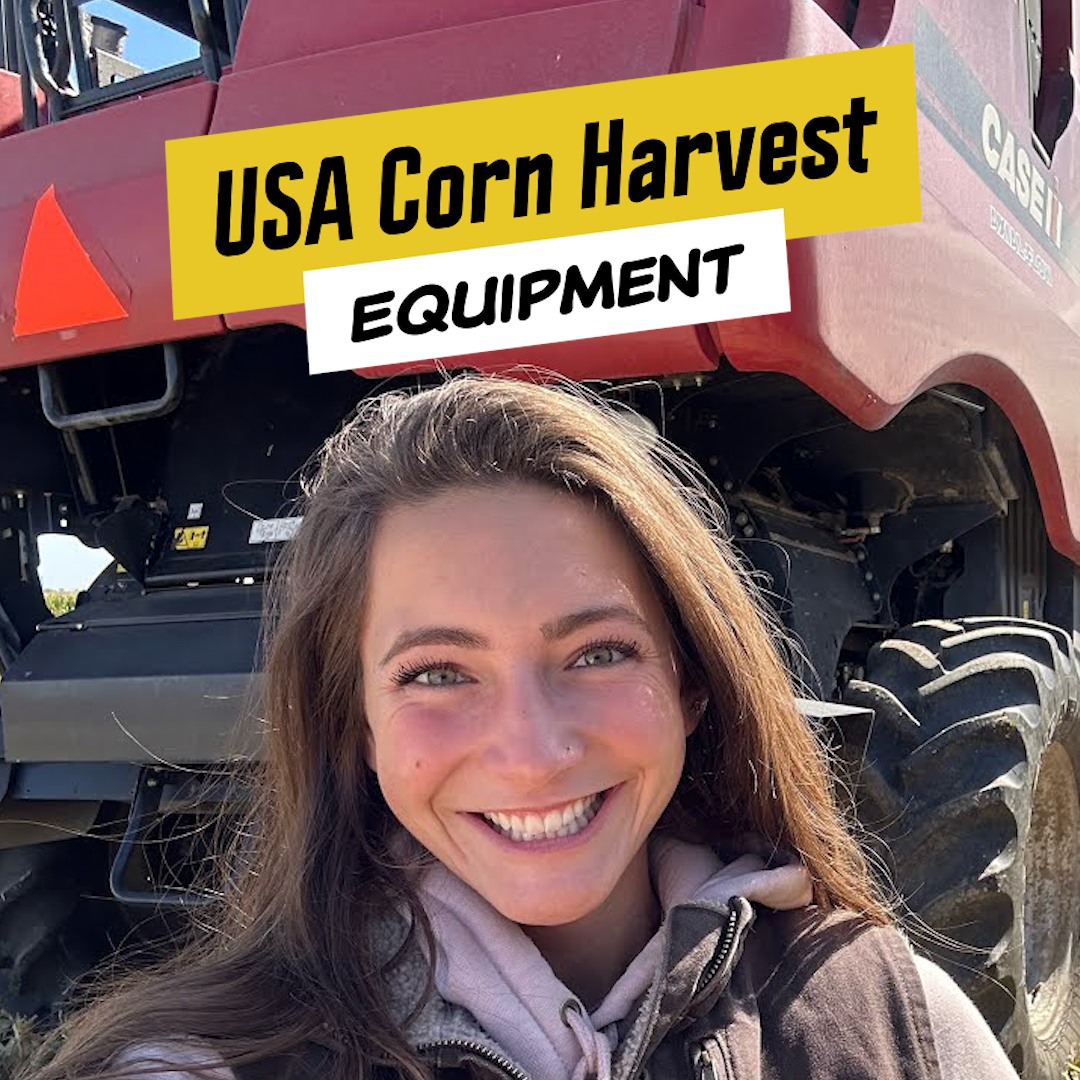 Loading These Trucks Is An Art Form 🚜