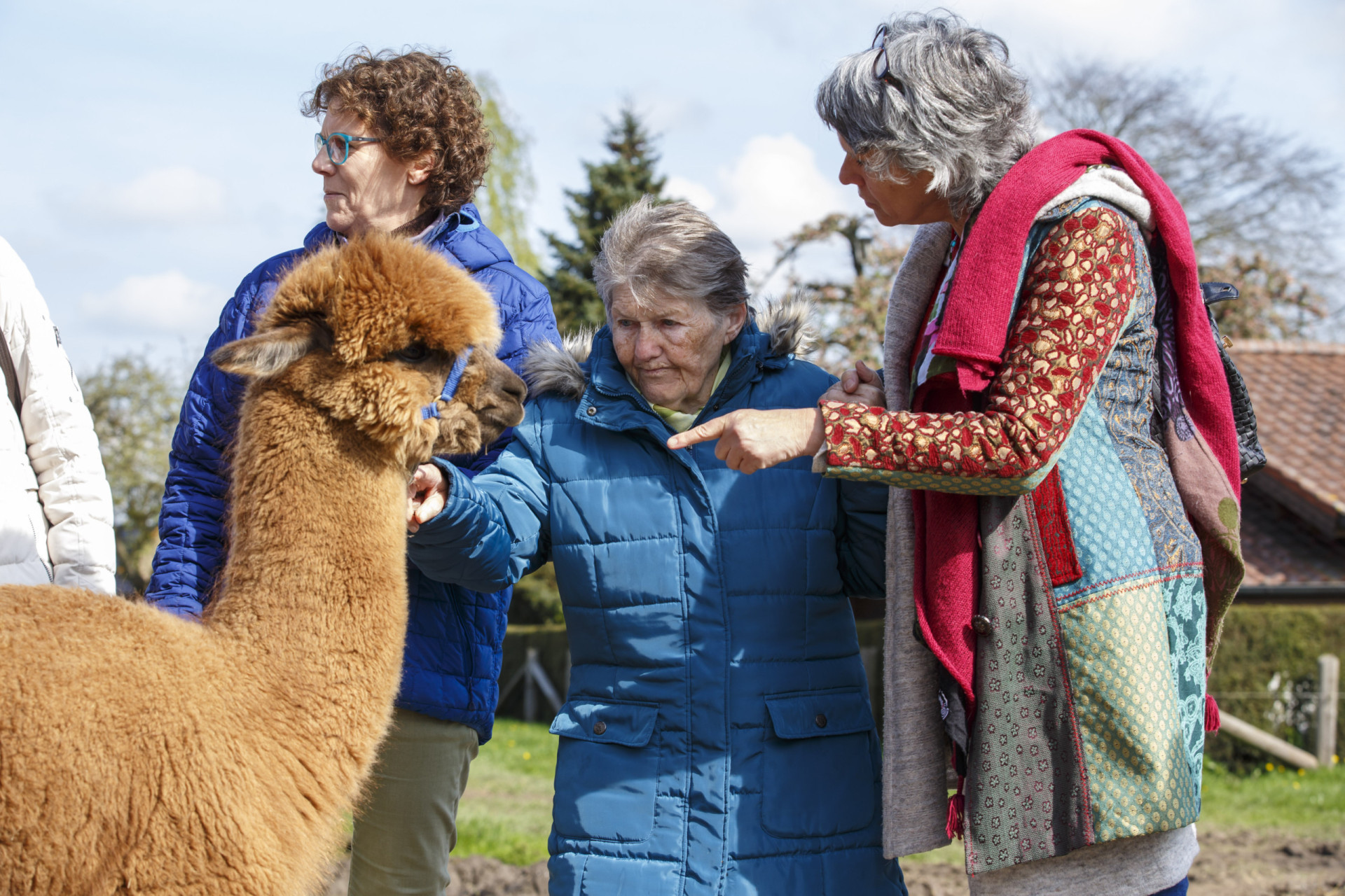Hoe hartproblemen dementie kunnen voorspellen