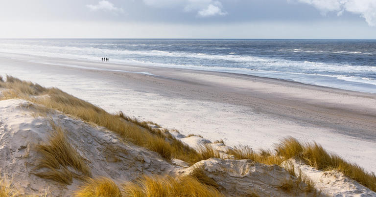 Mystiske fund på stranden forvirrer flere – har du også set dem?