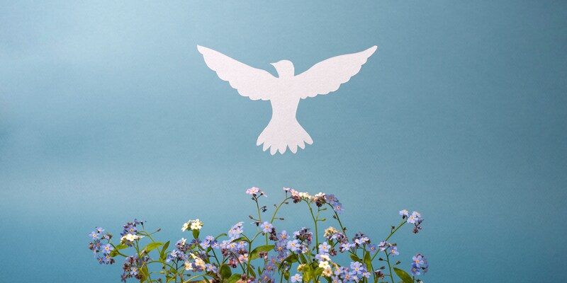 Am 8. Juni und 9. Juni - Pfingsten 2025: Was Christen feiern - wo der ...