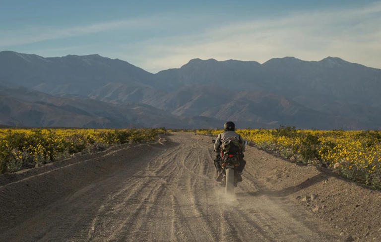 Death Valley National Park issues summer heat travel warning as weather ...