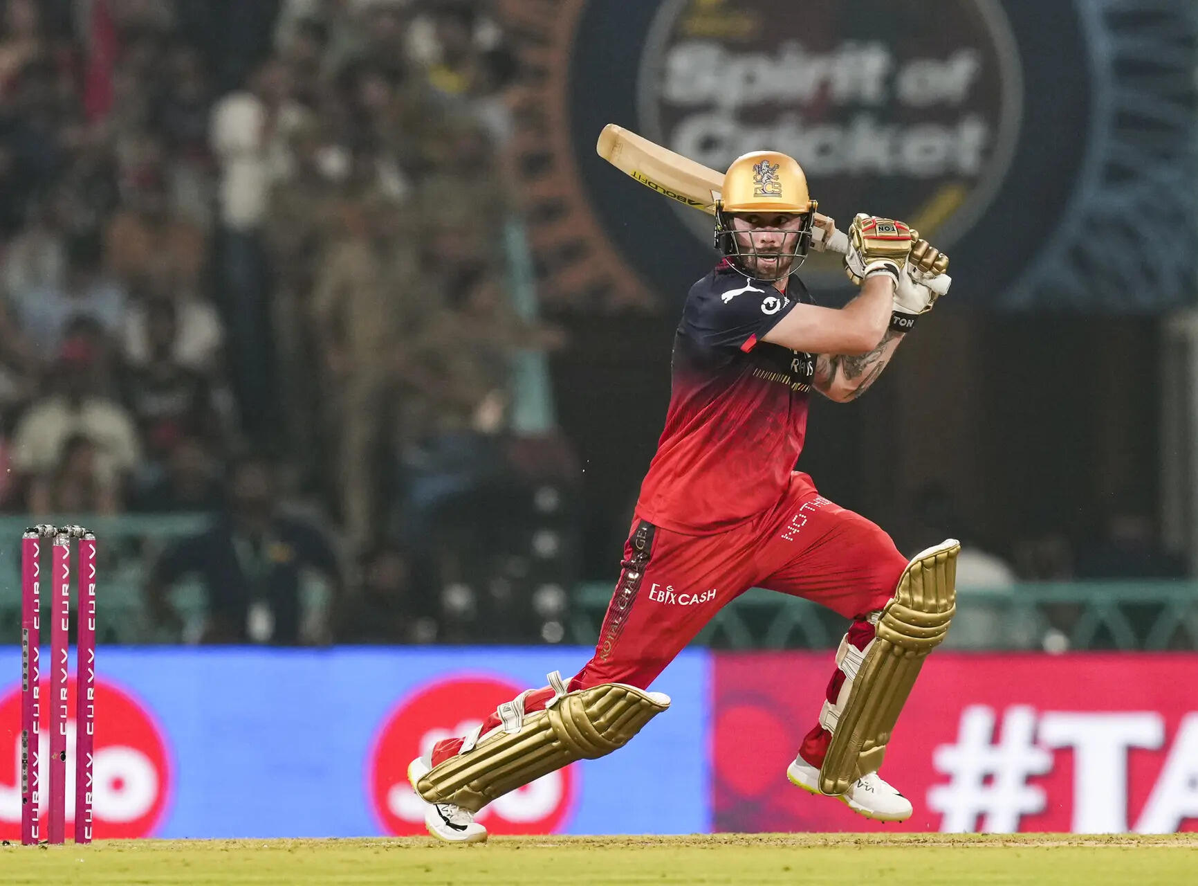 Will Phil Salt play in the IPL Final against Punjab Kings? RCB yet to ...