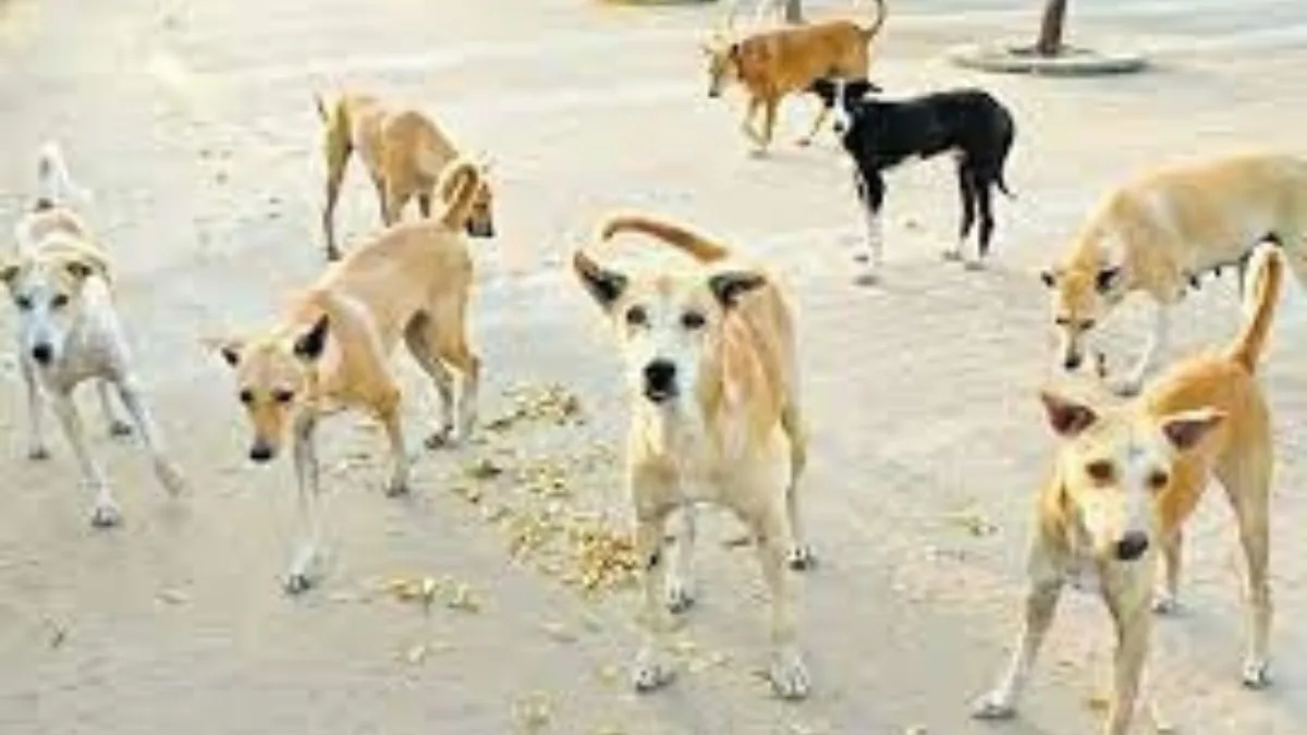 Lucknow: Four stray dogs dead, six critical after eating poisoned biryani