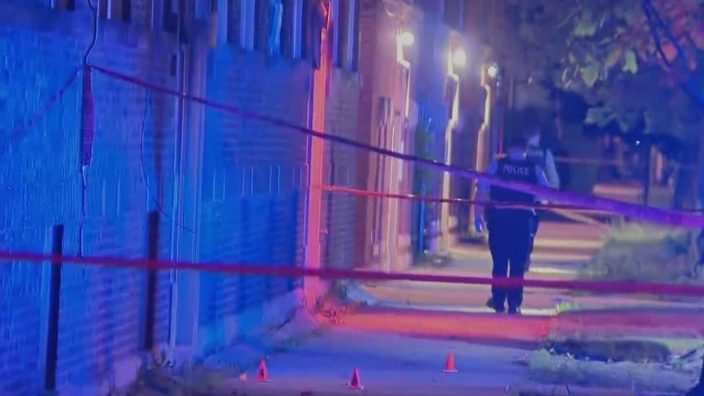 Emergency assistance center opening after Chicago mass shooting near St ...