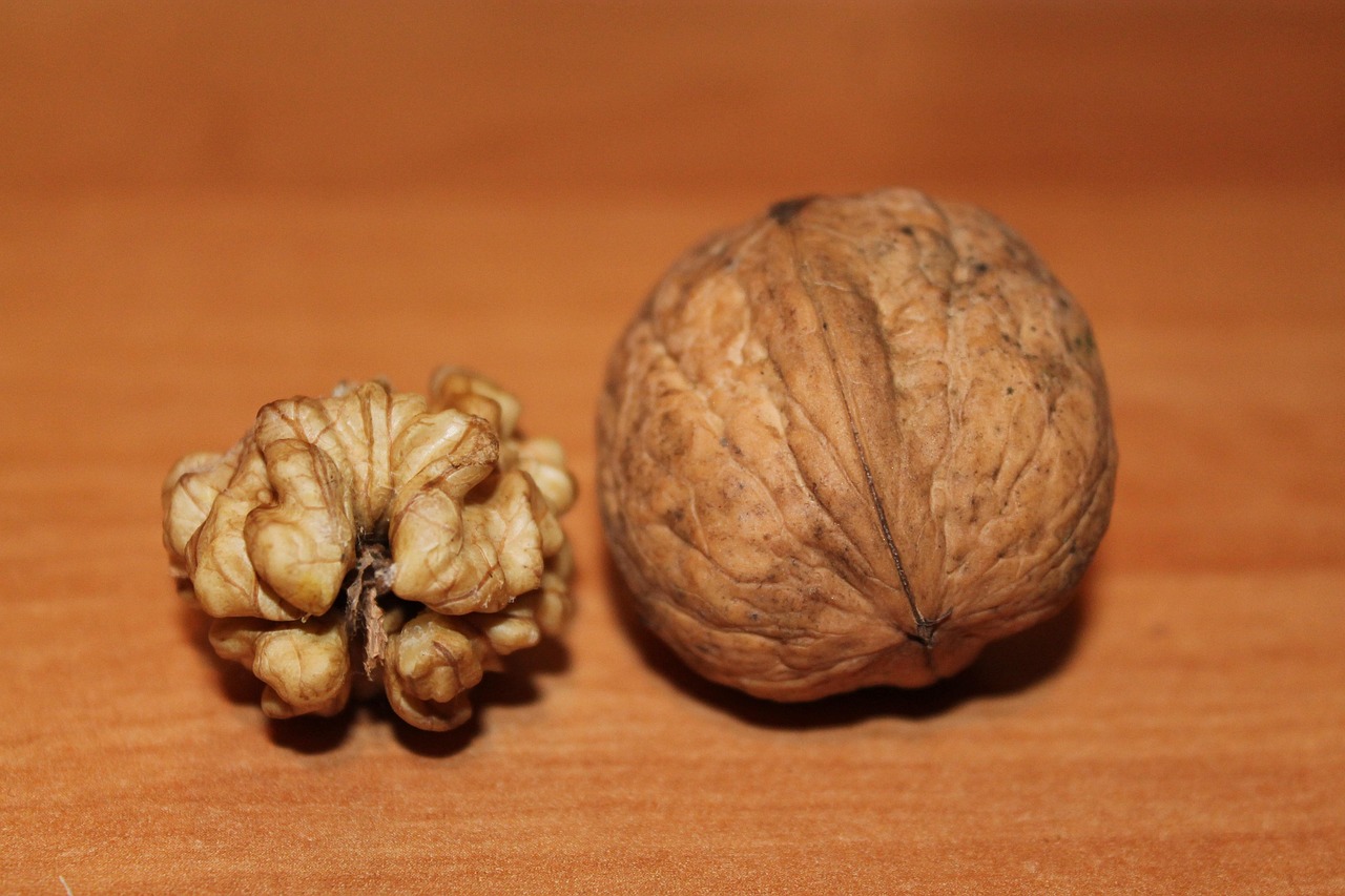 The Best Nuts for Brain Health, Ranked