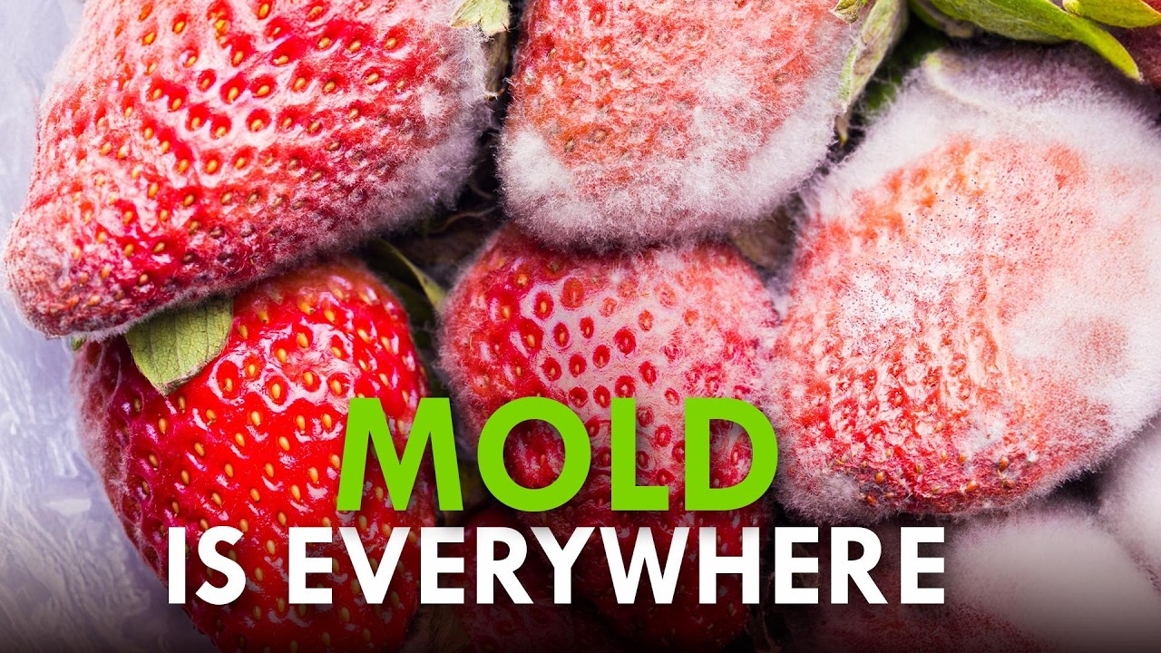 What Really Happens If You Eat Mold?