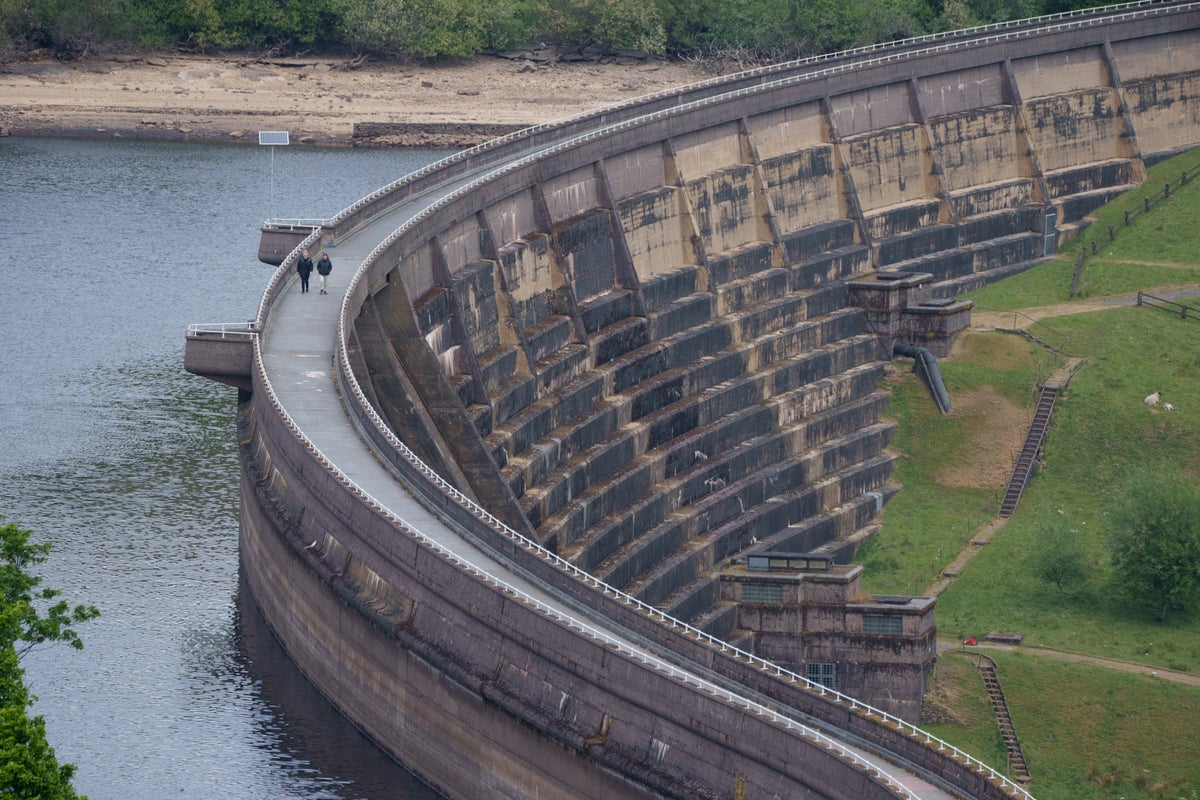 Thousands of river species at risk as dams block critical migration ...