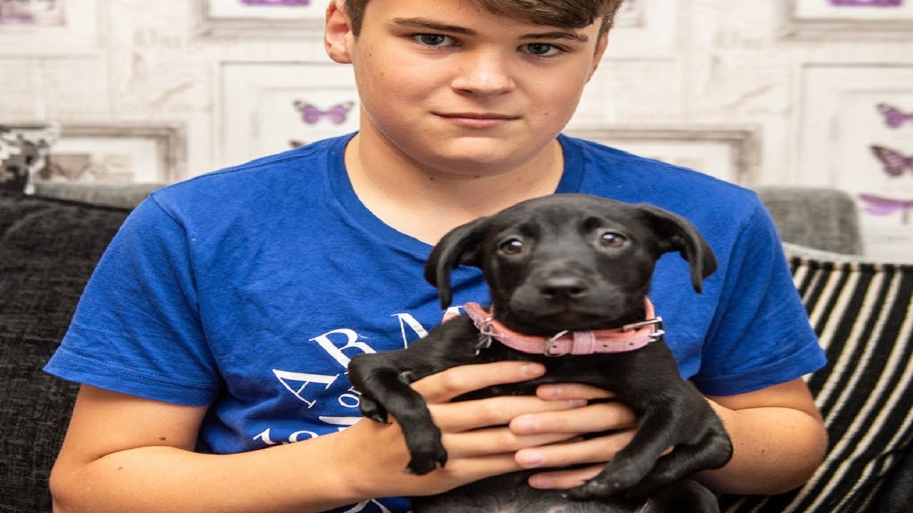 Teenager Battling Personal Demons Adopts An Unconventional New Dog To ...
