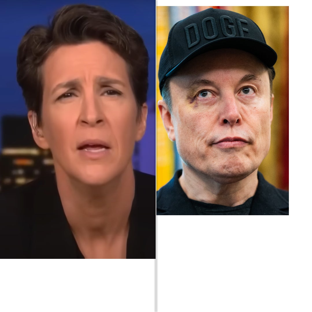 Rachel Maddow Nails Brutal Metaphor For Elon Musk’s Impact On Government