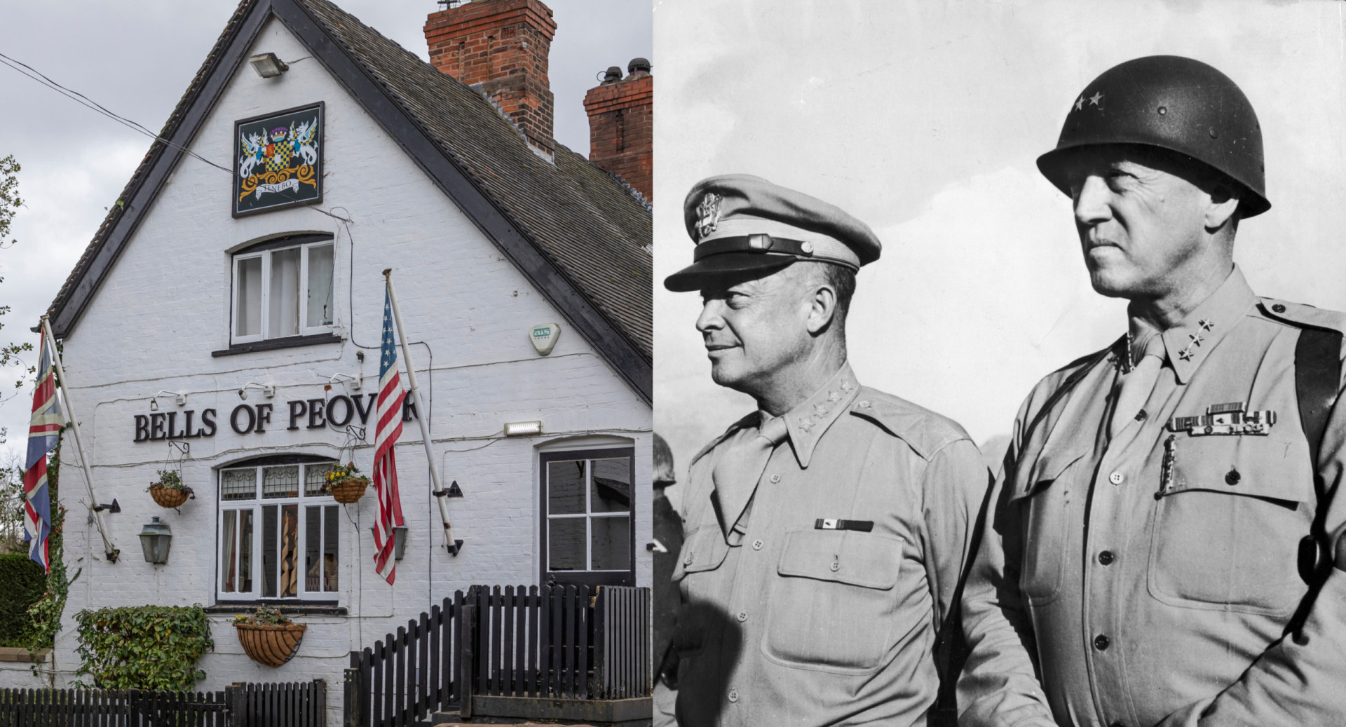 Safe and healthy human foods your dog can eat