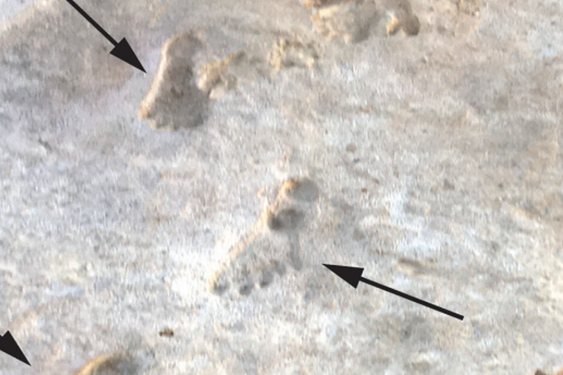 Archaeologists' 'incredible' ancient footprints discovery rewrites what ...