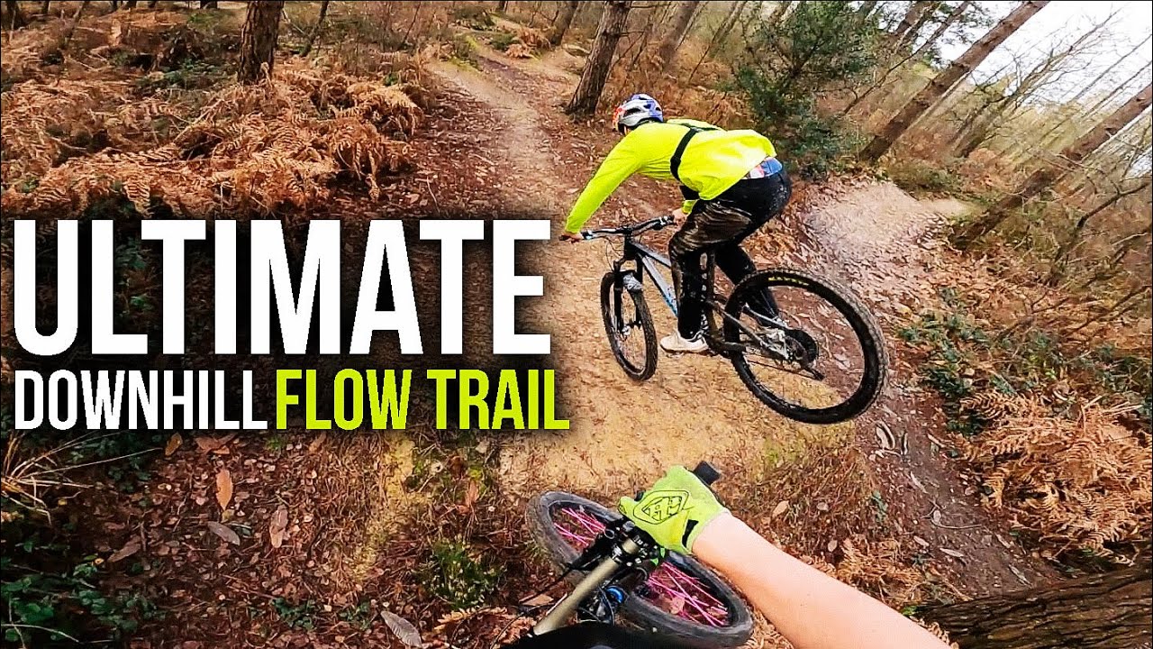 WHY DON'T MORE TRACKS LIKE THIS EXIST!? ULTIMATE MTB FLOW TRAIL!!