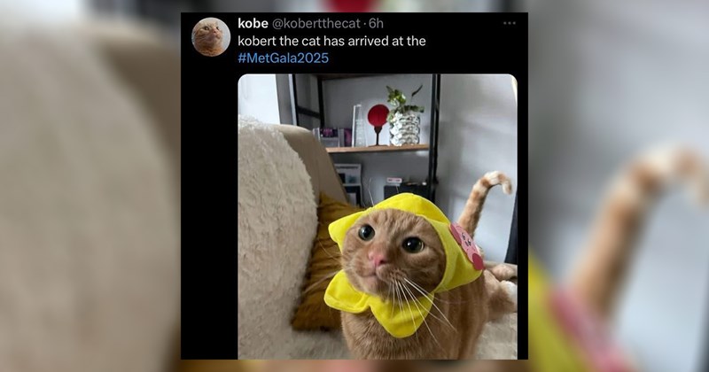 25+ Memes Taking The Long Way Around