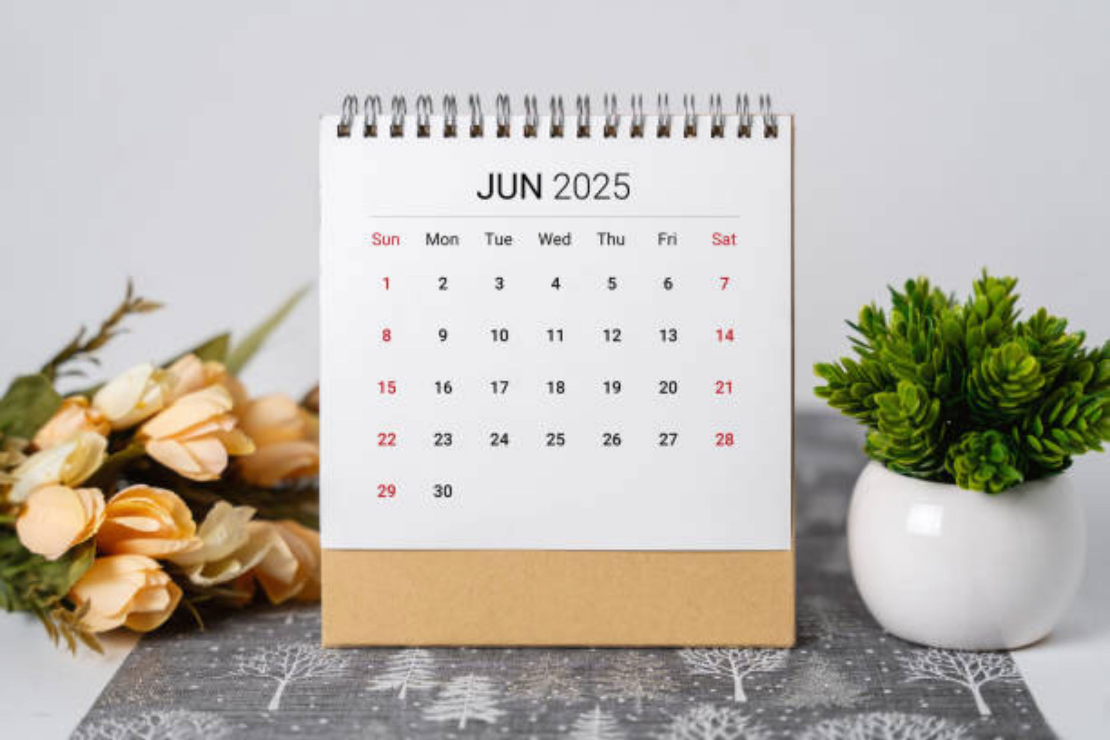 Kalender Juni 2025 Lengkap dengan Weton: Ada Dua Long Weekend