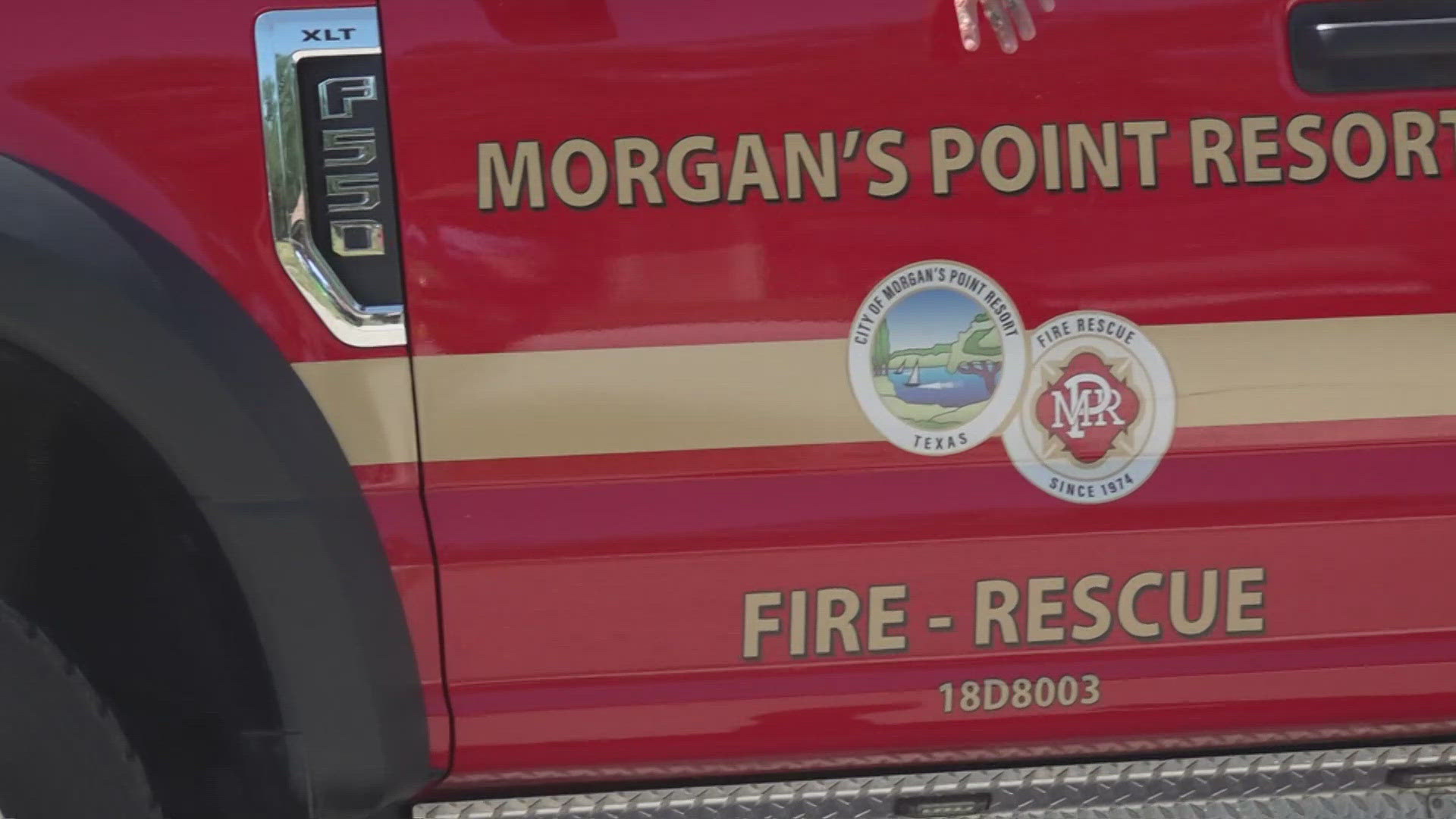 Bee attacks increase across Central Texas