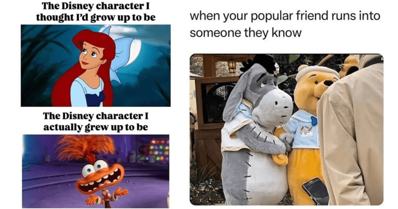27 Disney Memes That Are Just as Magical as the Parks