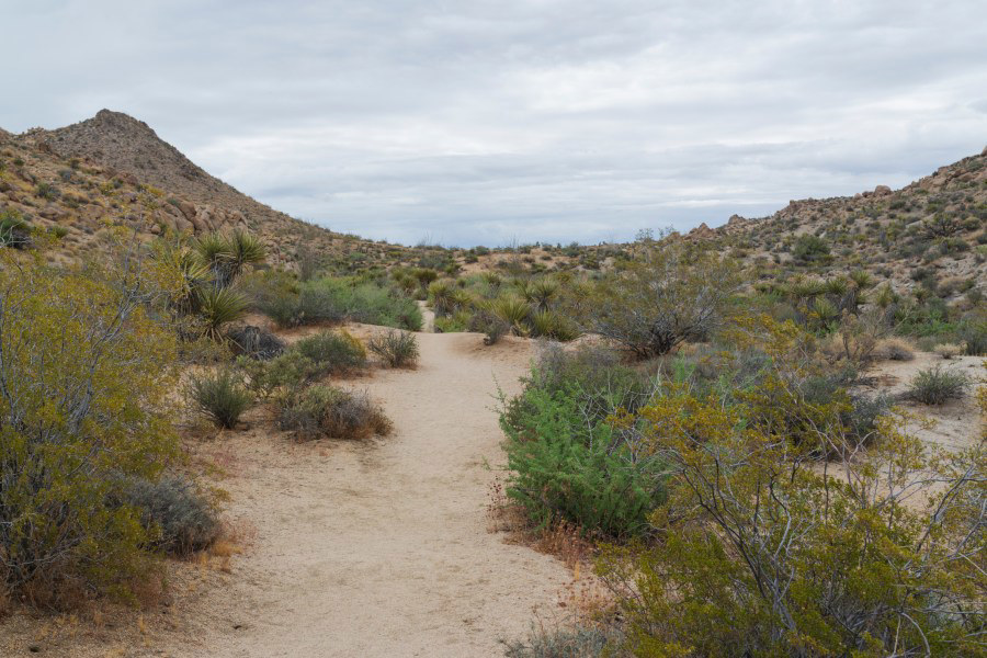 Missing elderly Southern California woman found dead near remote highway Missing elderly Southern California woman found dead near remote highway