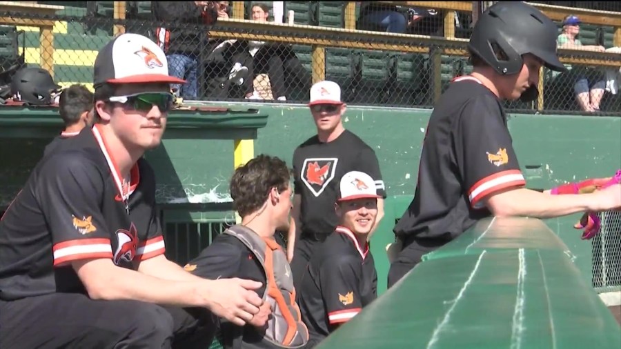 Baseball: Williston Coyotes enter into the WDA Tournament as the 6th ...