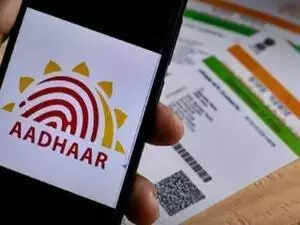 Aadhaar Card Status Check Made Simple: Online, SMS & Call Options