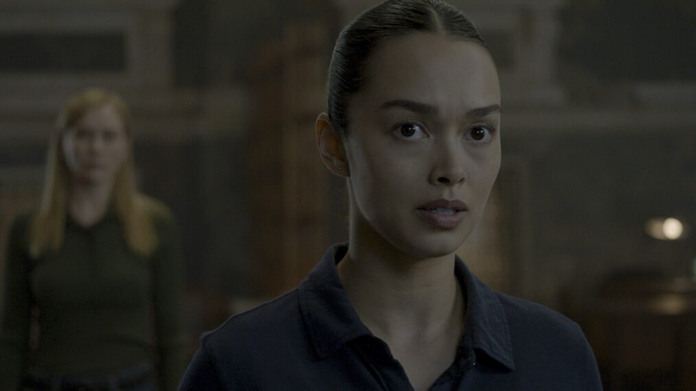 ‘FBI: International’ Series Finale Ends With Major Cliffhanger