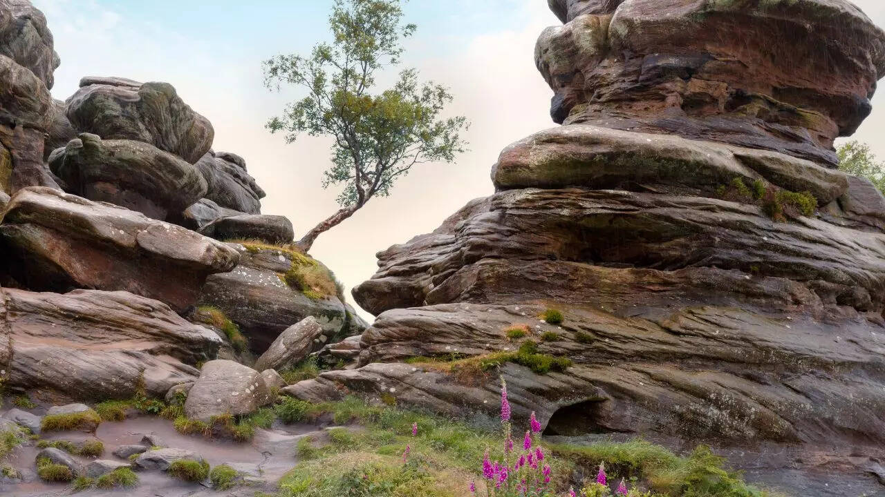 5 of the oldest rock discoveries revealing Earth’s early secrets