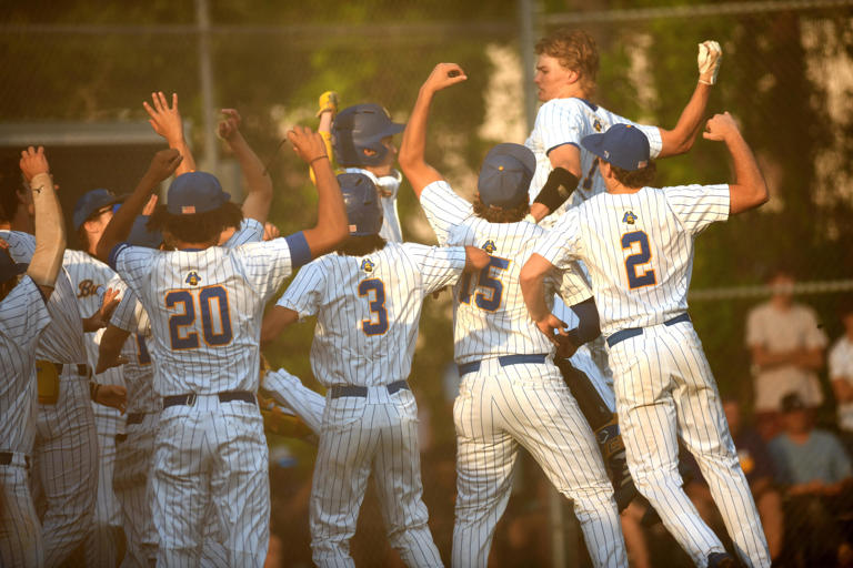 'It's amazing': Laney baseball shuts out Corinth Holders to advance to ...
