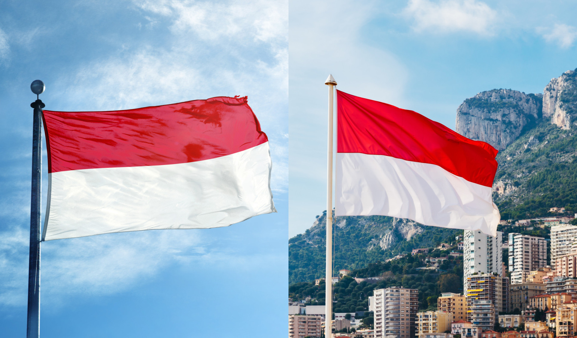 Countries with flags that look alike