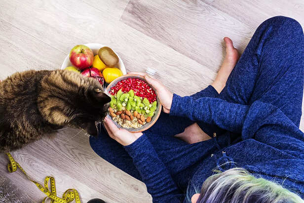 Tailored Diet Plans That Transform Your Pet's Health
