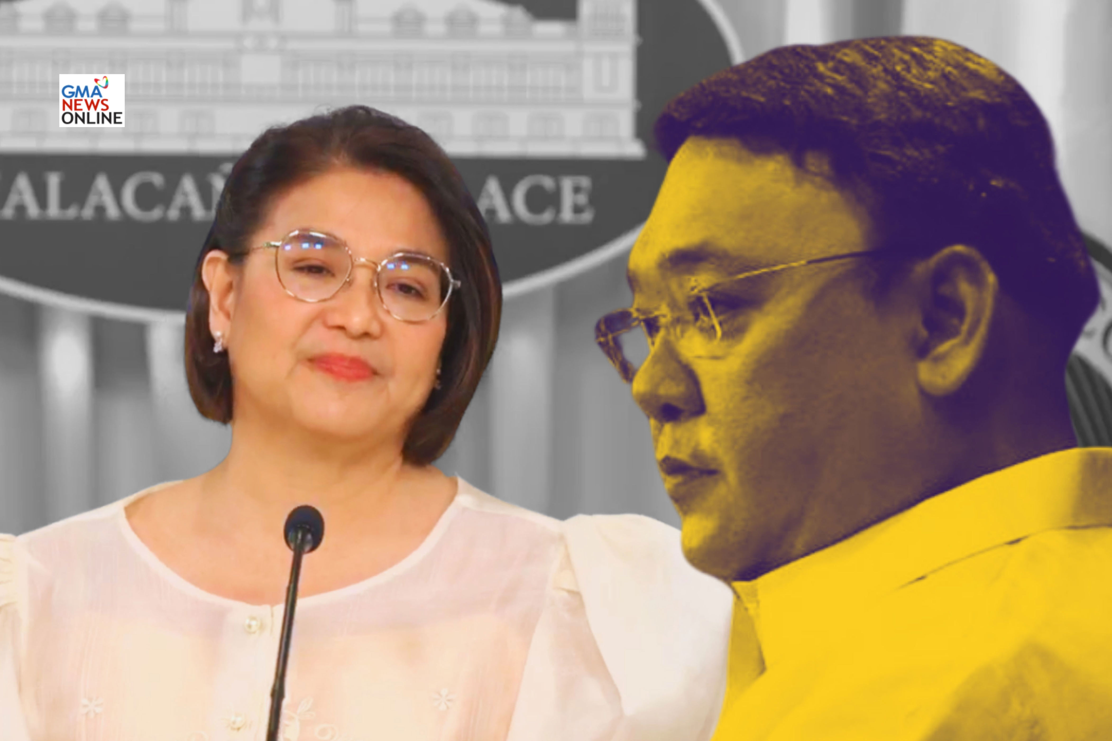 Palace to Roque: Go home if you're concerned with gov't funds, resources