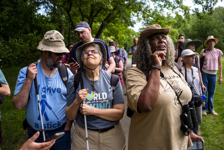 A song and a chirp: How blind birders tell a robin from a wren