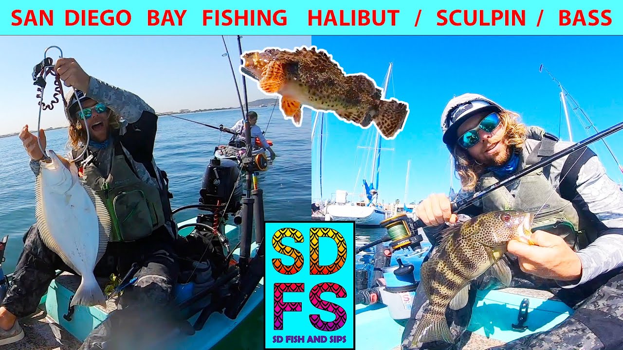 San Diego Bay Fishing Halibut, Spotted Bay Bass, & Sculpin Solo Skiff & San Dog Kayak Adventures